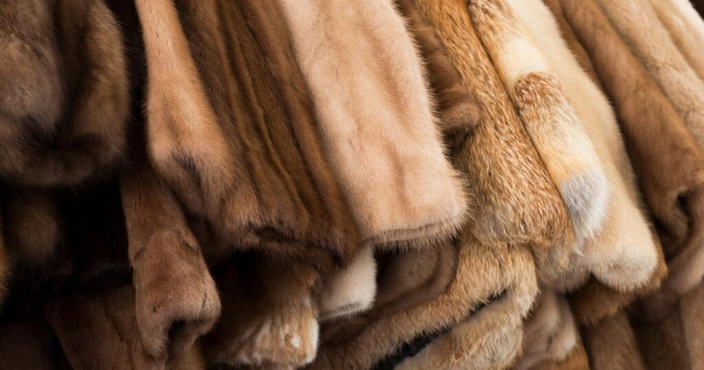 Fur store in Detroit to close after 132 years in business – Pak Alert Press